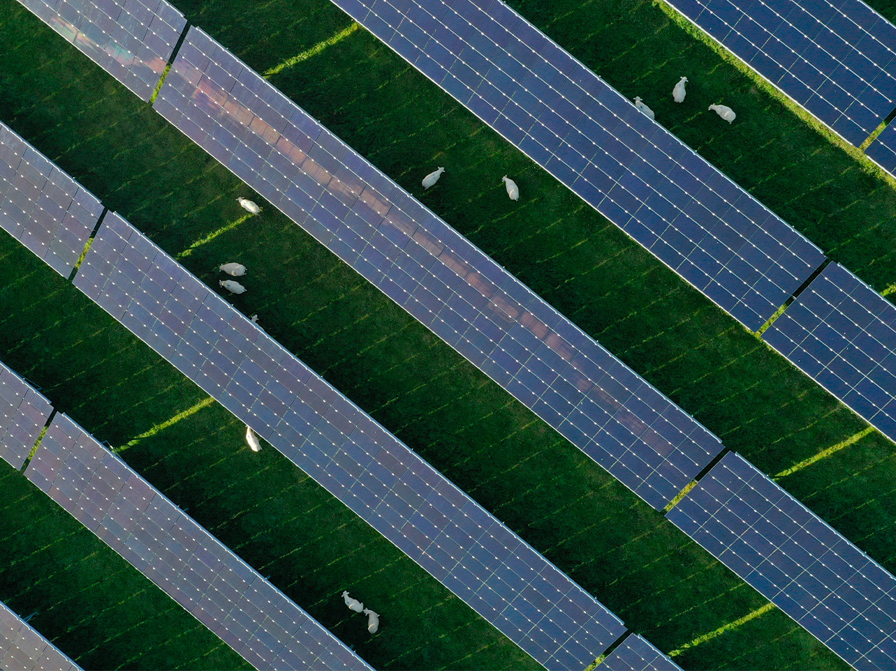 Notre stratégie - Rubis - Servir les énergies d’aujourd’hui et de demain
