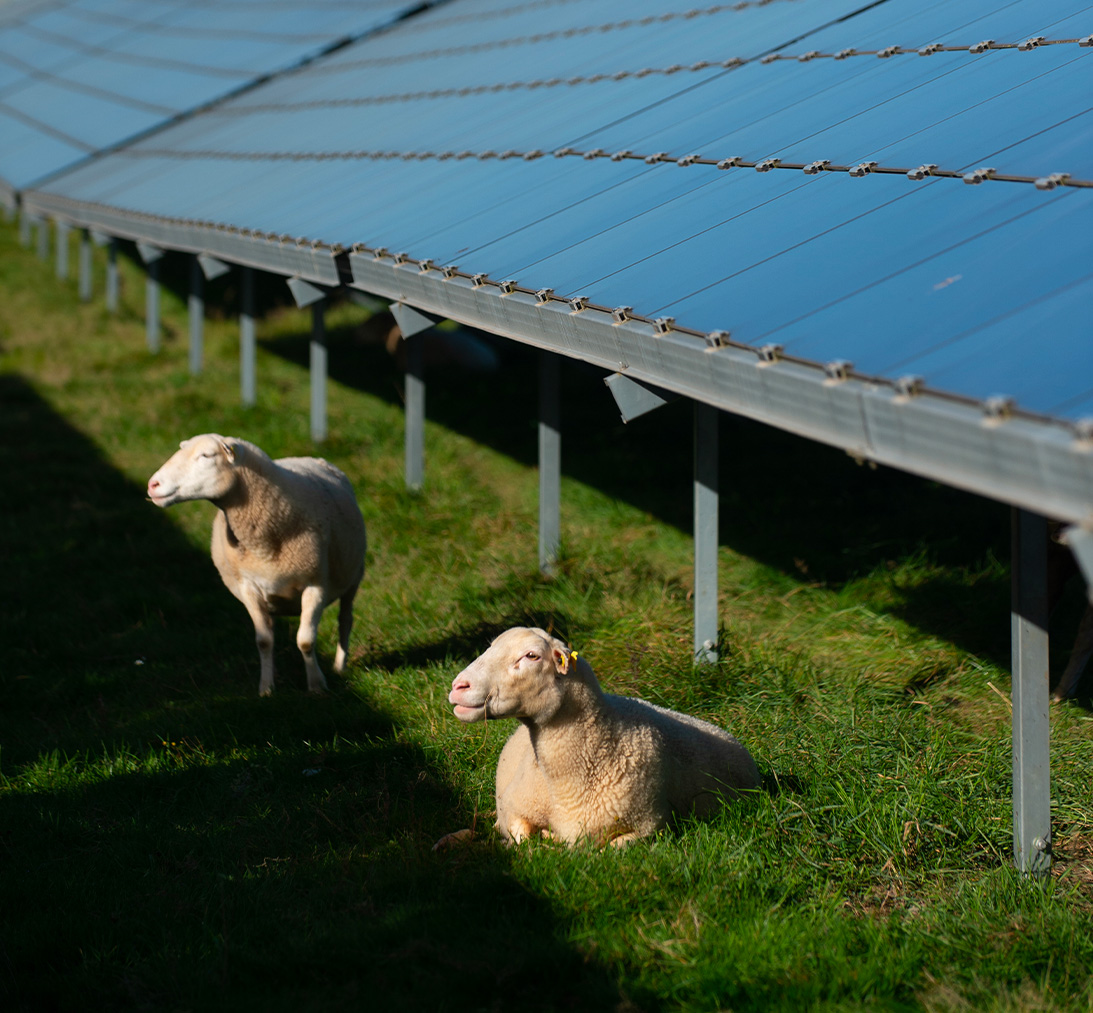 Notre stratégie - Rubis - Servir les énergies d’aujourd’hui et de demain